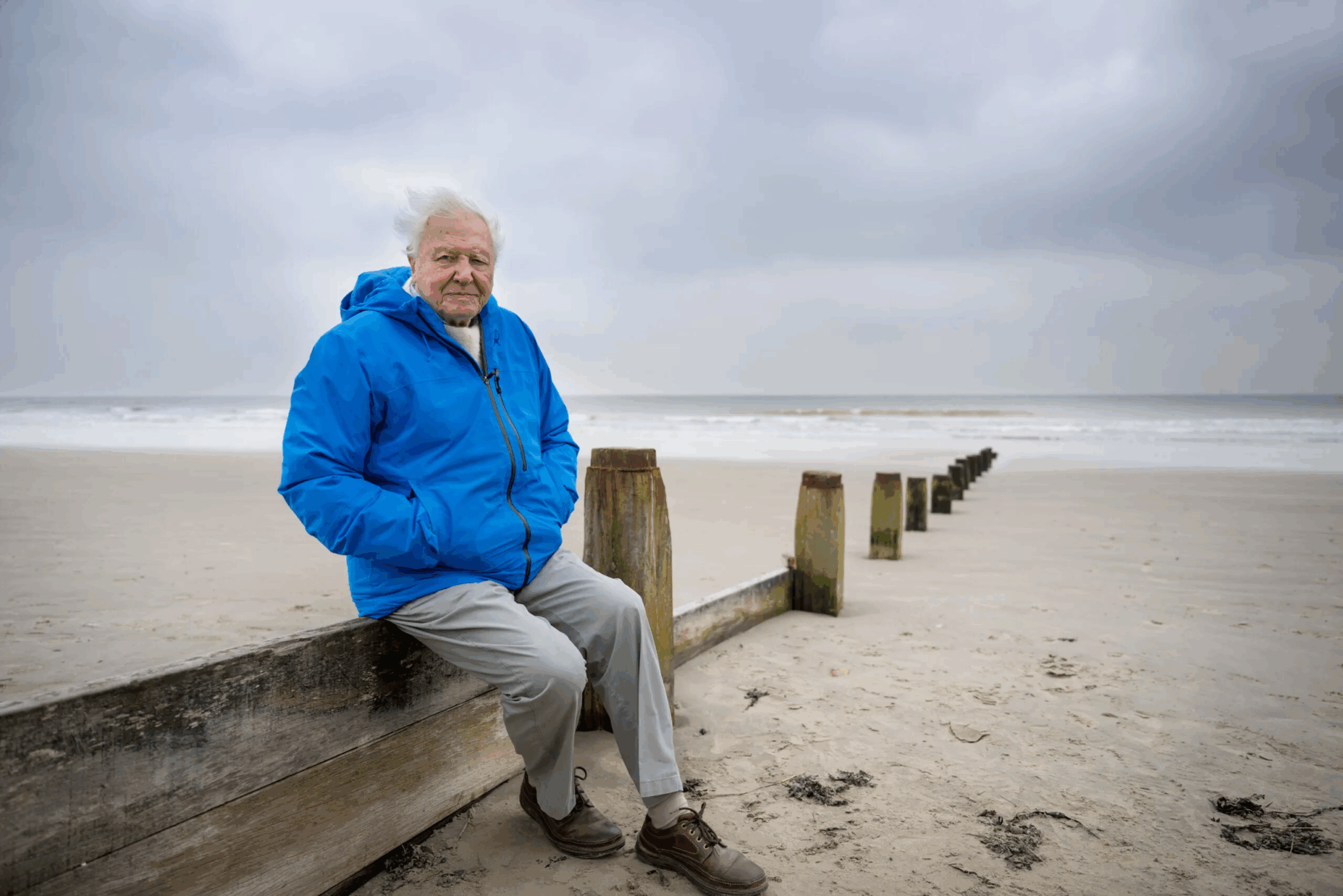 SDG News Spotlight of the Week: Sir David Attenborough - SDG News