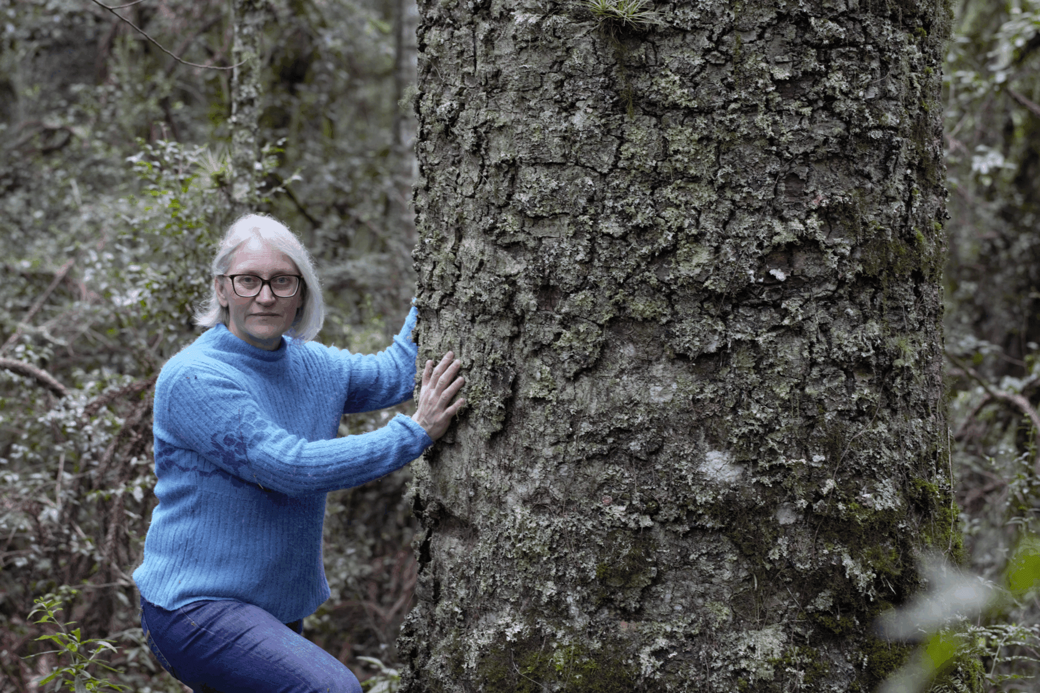 IKEA Launches Forest Investment in Brazil’s Atlantic Forest Under €100M ...